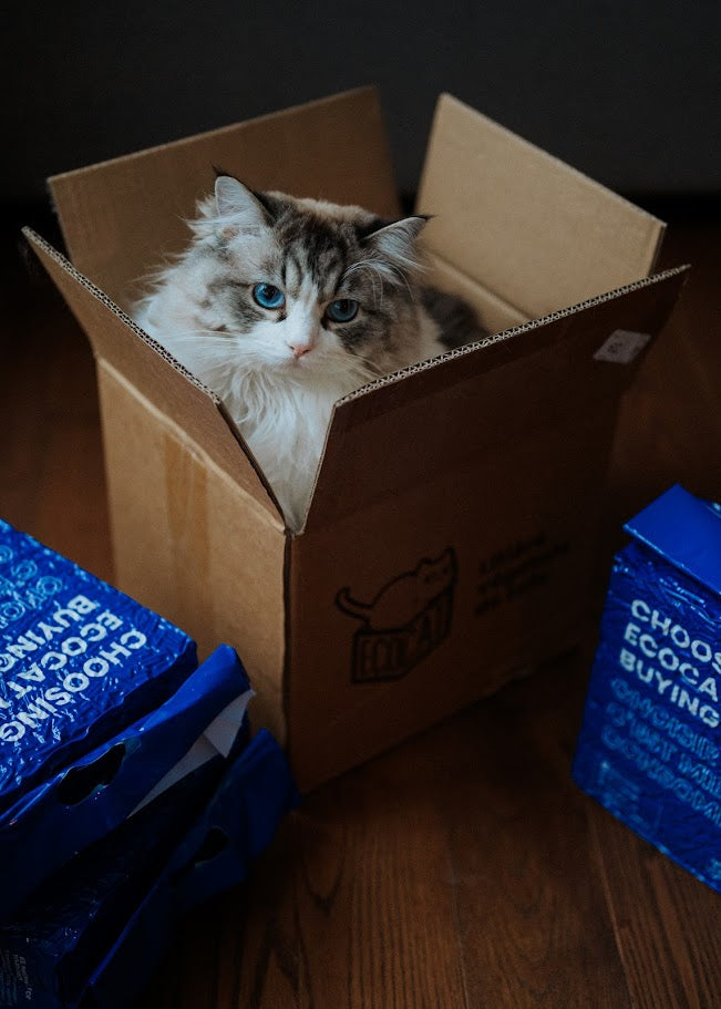 Ecocat Litter | Eco-Friendly & Natural Cat Litter Canada