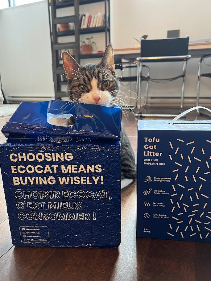 Ecocat Litter | Eco-Friendly & Natural Cat Litter Canada