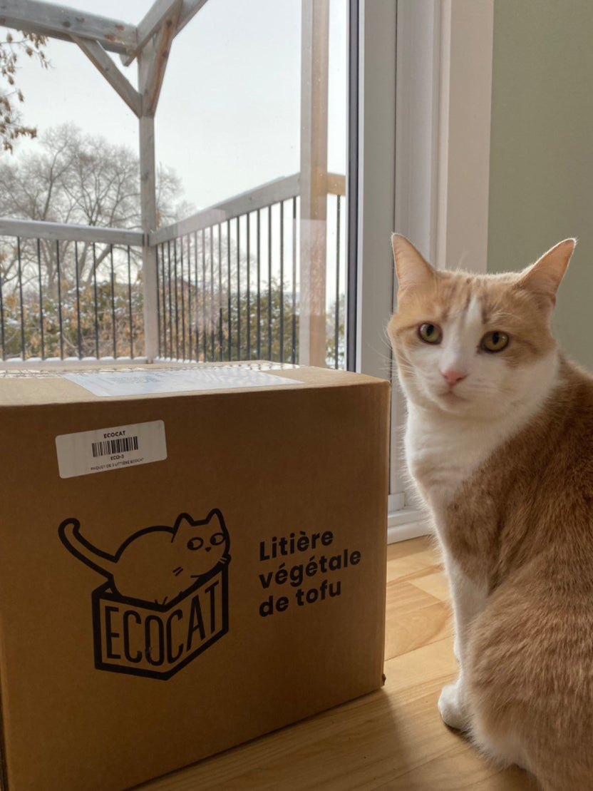 Ecocat Litter | Eco-Friendly & Natural Cat Litter Canada