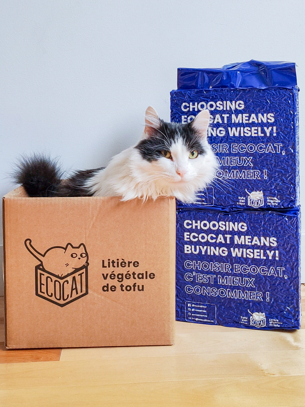 Ecocat Litter | Eco-Friendly & Natural Cat Litter Canada