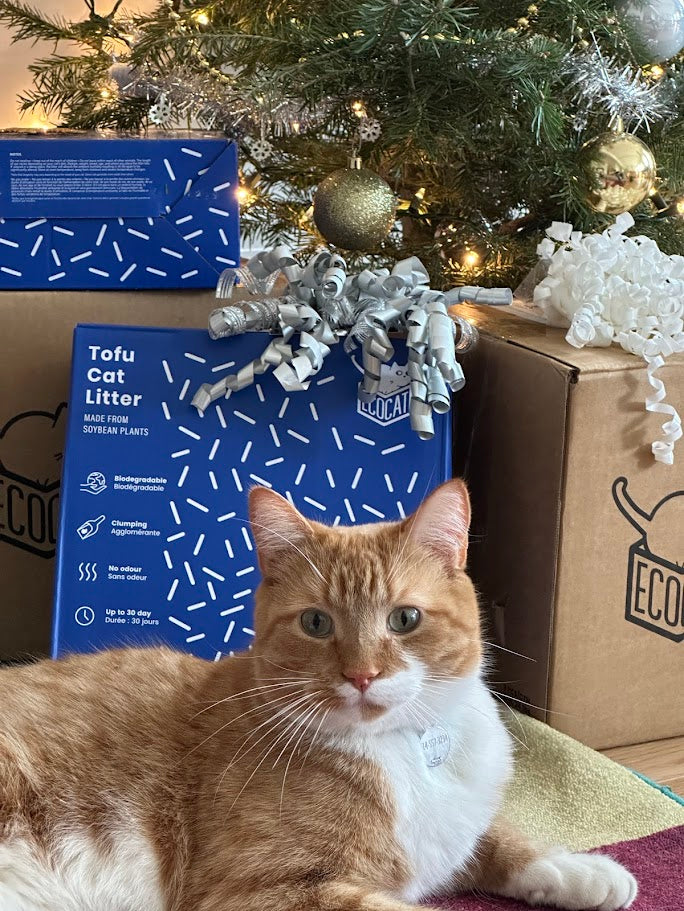 Ecocat Litter | Eco-Friendly & Natural Cat Litter Canada
